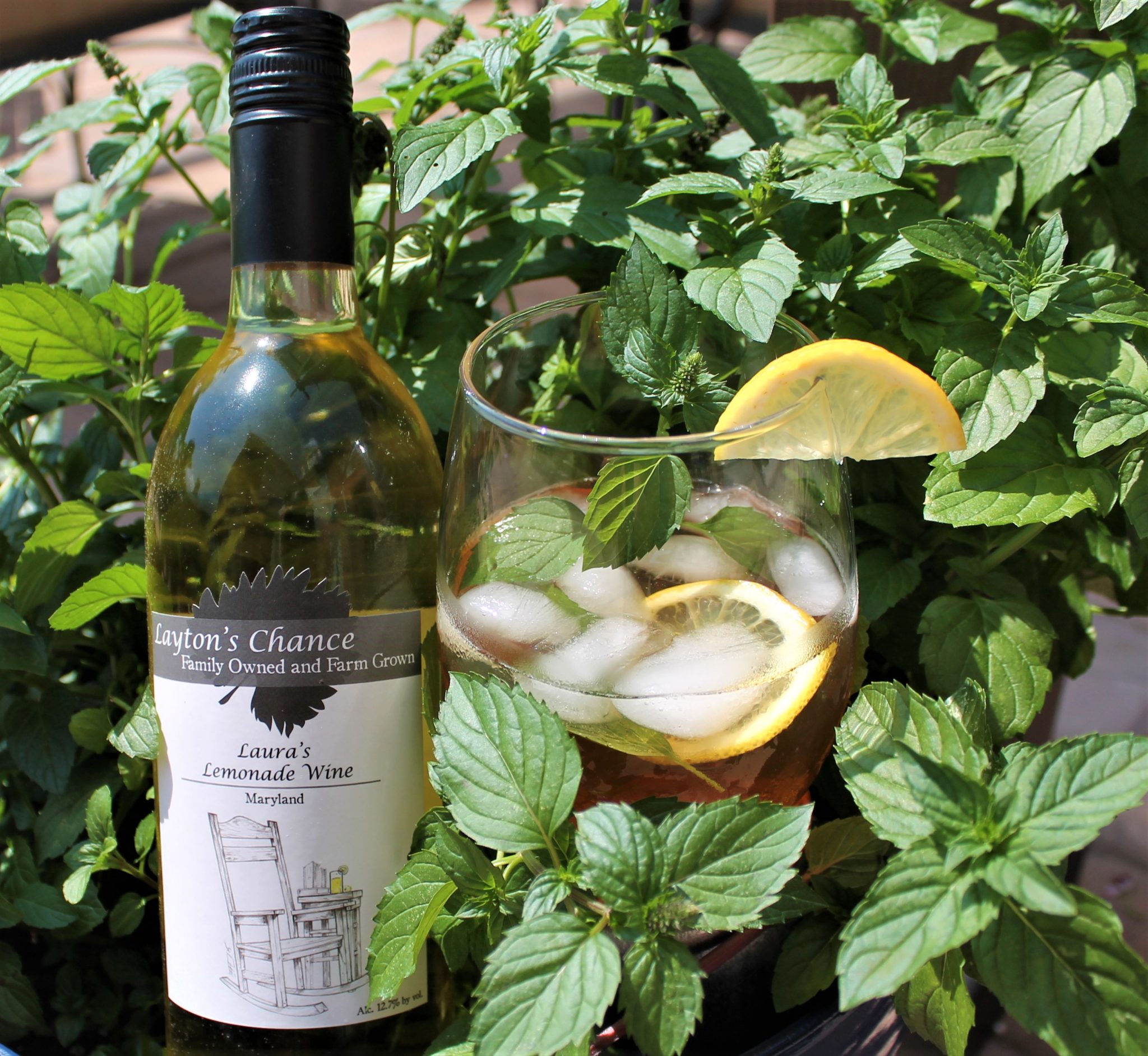 Laura Palmer - Layton's Chance Vineyard and Winery.